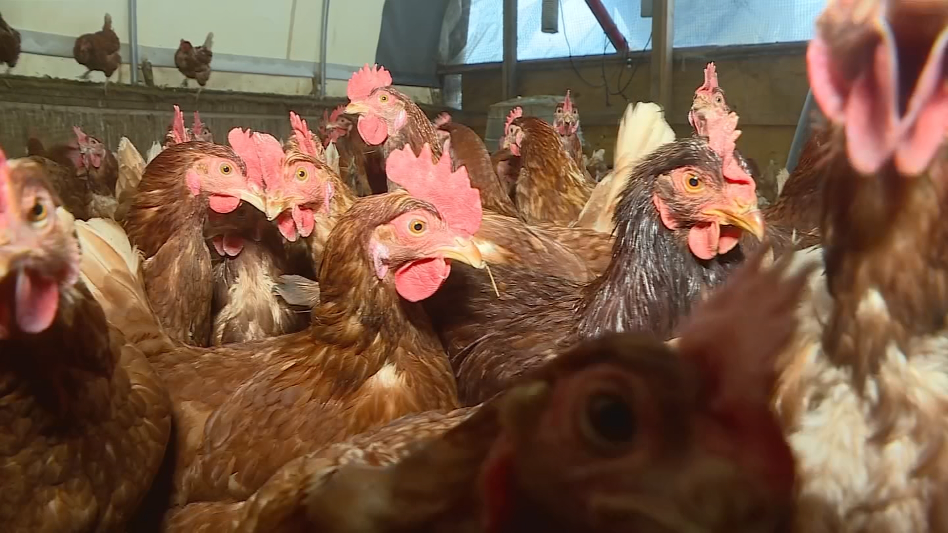 Health for US: Tennessee - Better World Campaign